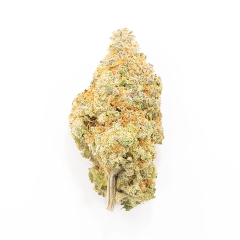 Buy Crystal Coma Hybrid Deadhead Chemist Online | NupepShrooms Buy Crystal Coma Hybrid Deadhead Chemist Online | NupepShrooms