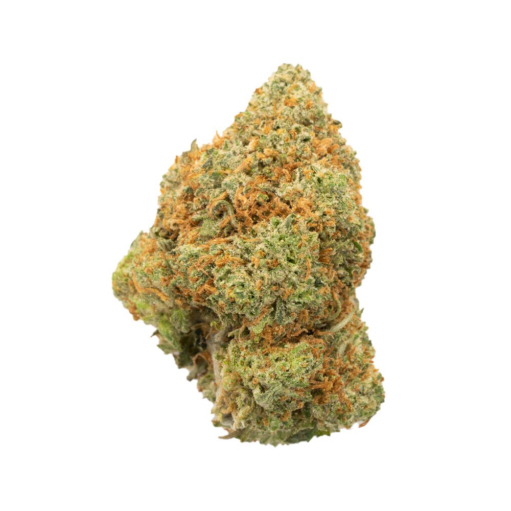 Buy Headband Hybrid Deadhead Chemist Online | NupepShrooms Buy Headband Hybrid Deadhead Chemist Online | NupepShrooms